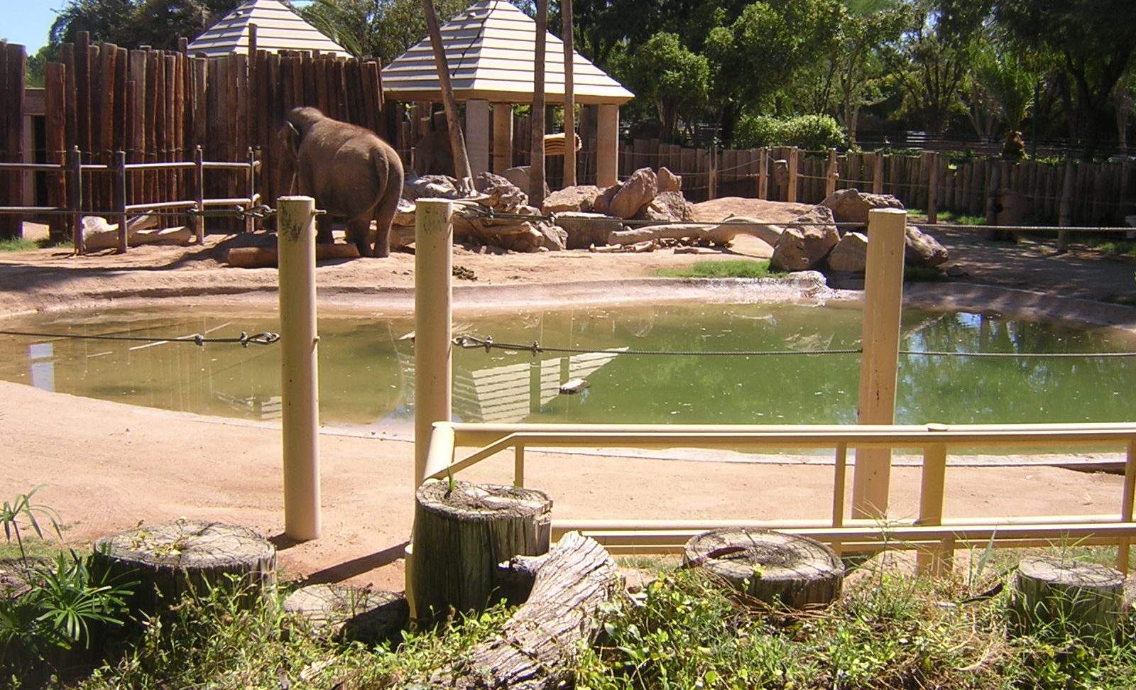 Reid Park Zoo Elephant Exhibit - DOWL