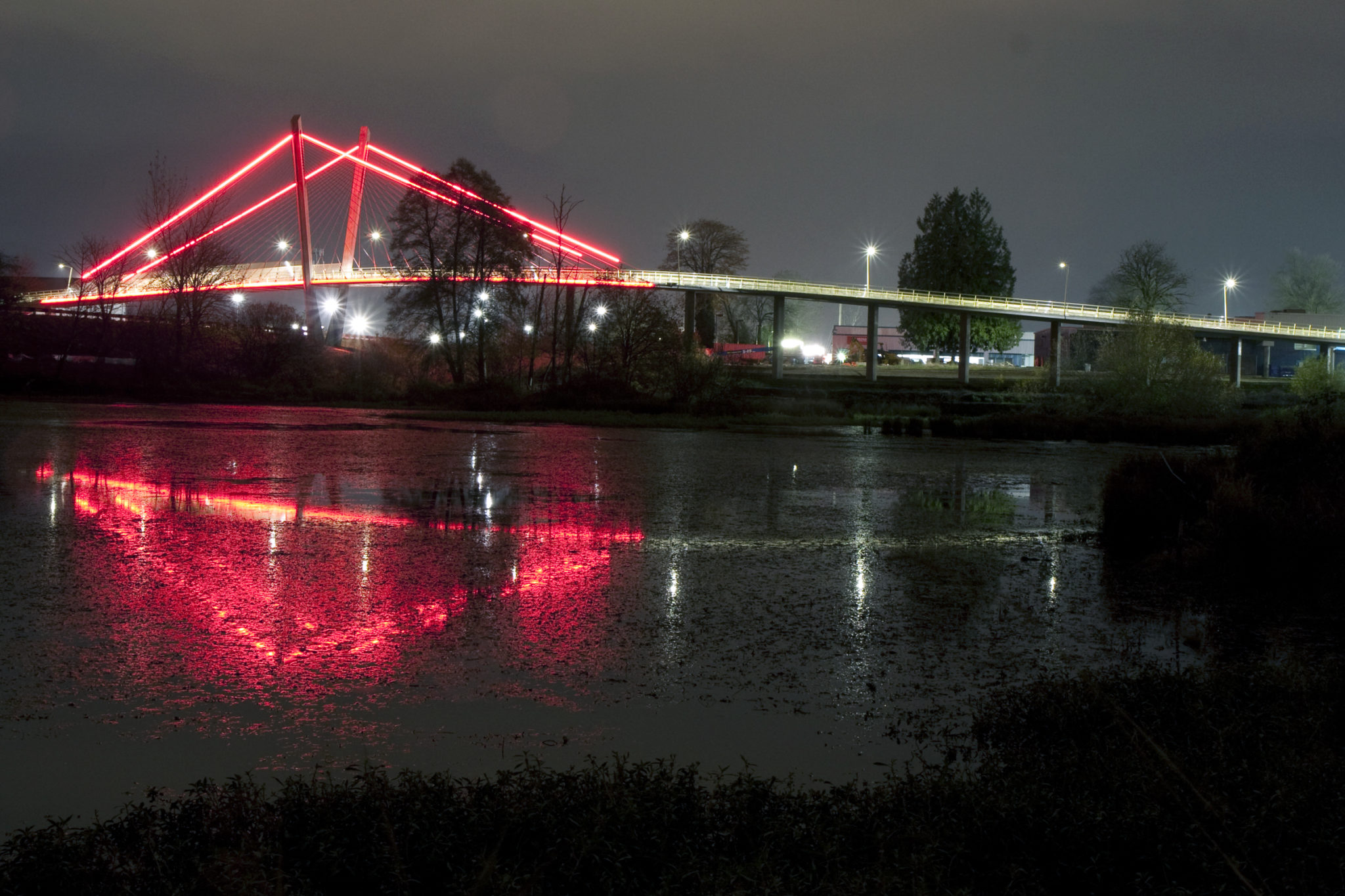 Delta Ponds Pedestrian Bridge - DOWL