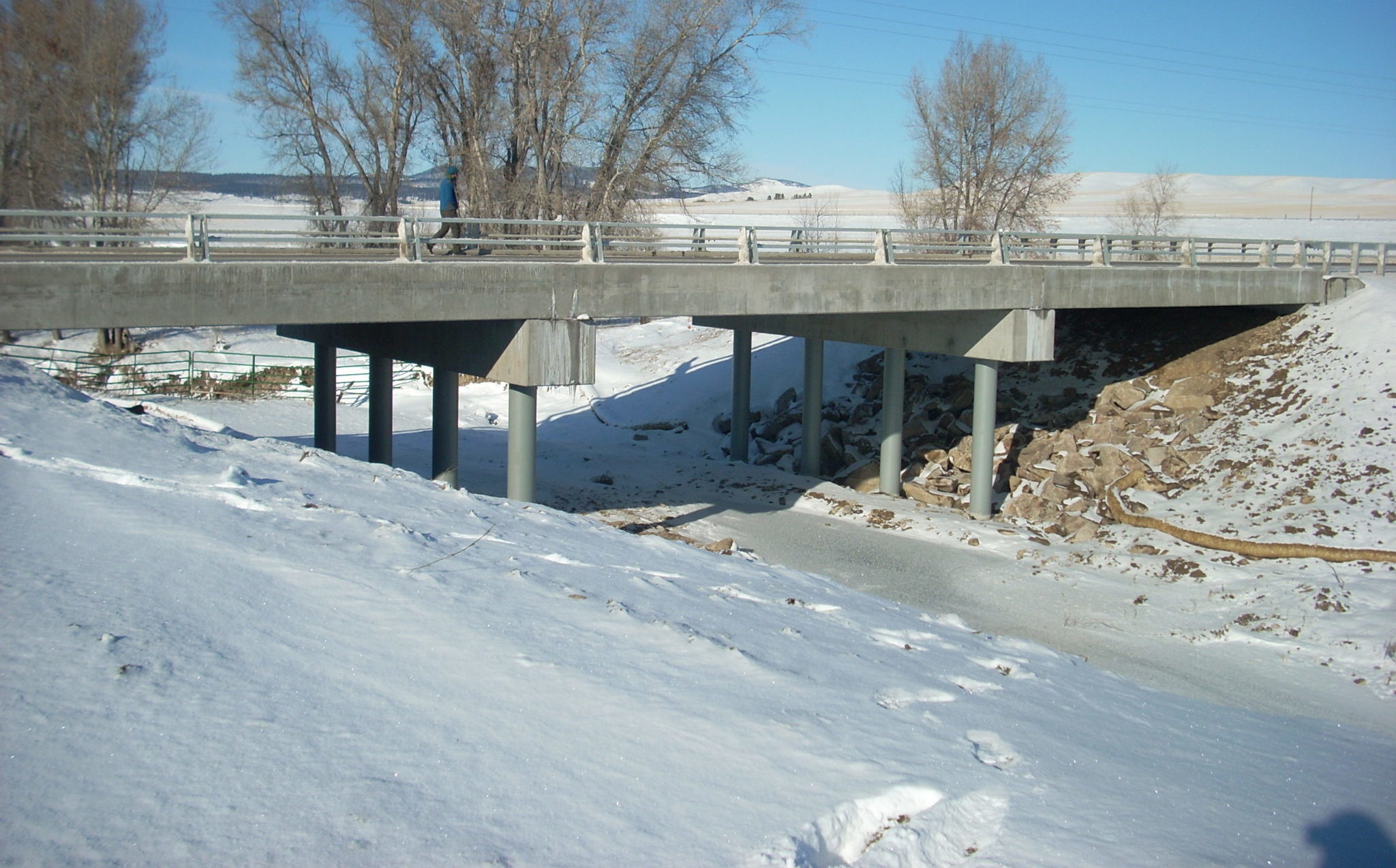Warm Springs Creek Emergency Bridge Replacement - DOWL